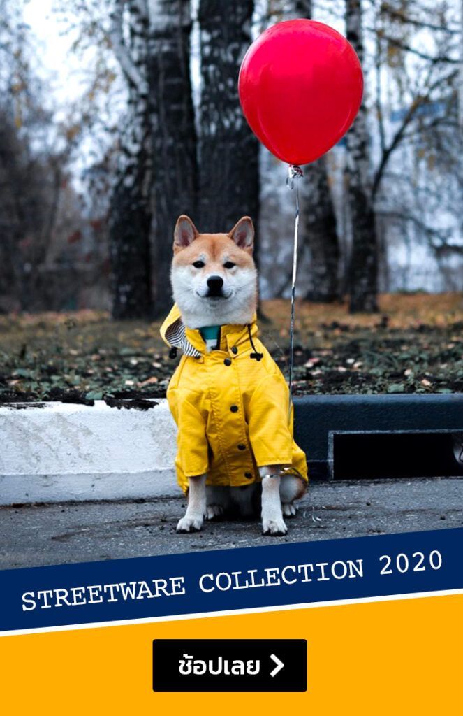 Shop by collection | CLAWSET