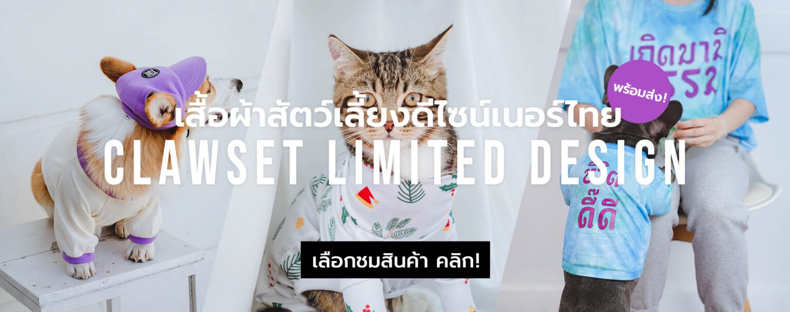 เข้ามาชมสินค้าสัตว์เลี้ยงหมาแมวแฟชั่น | Home | CLAWSET