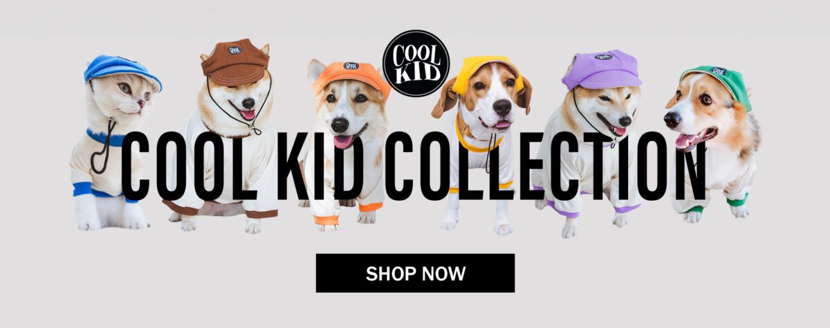 เข้ามาชมสินค้าสัตว์เลี้ยงหมาแมวแฟชั่น | Home | CLAWSET