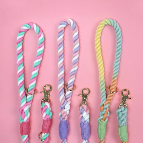 เข้ามาชมสินค้าสัตว์เลี้ยงหมาแมวแฟชั่น | Home | CLAWSET