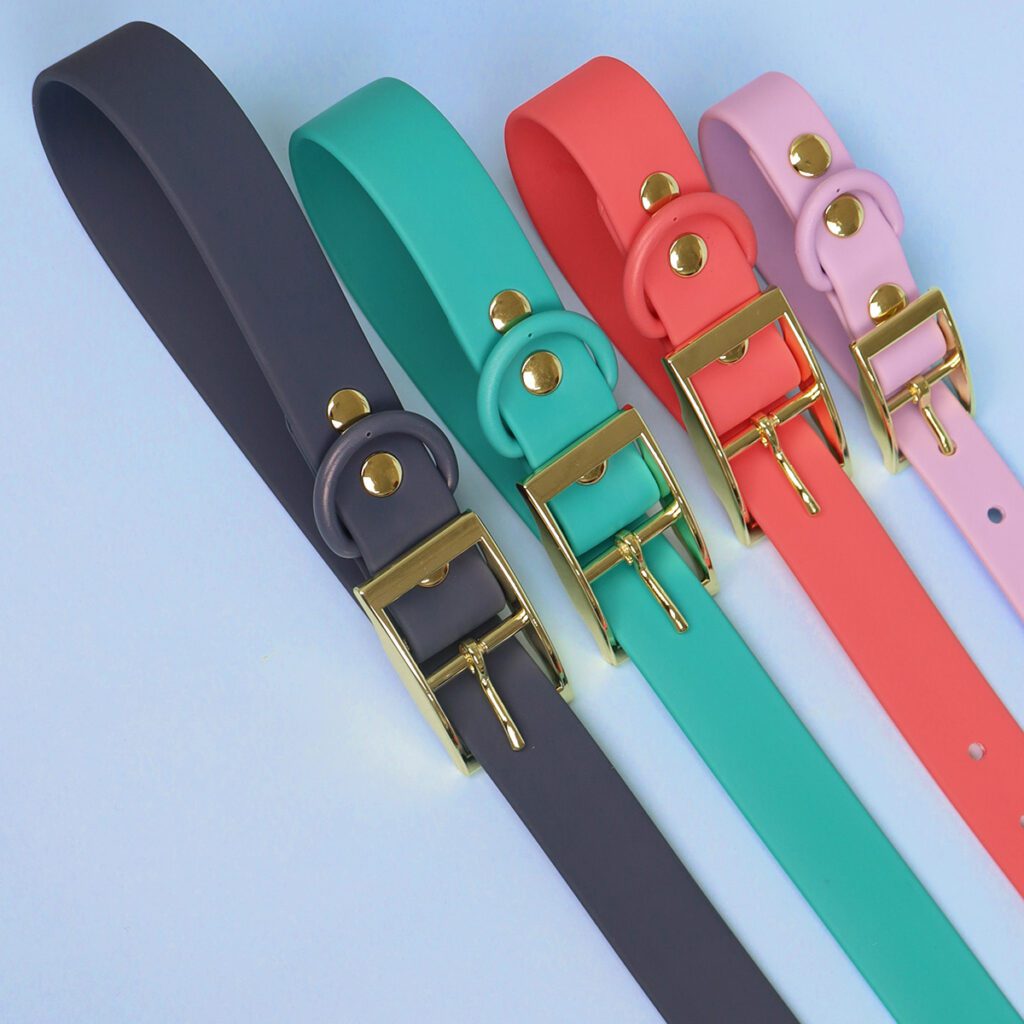 Collar and Leash Pantone color